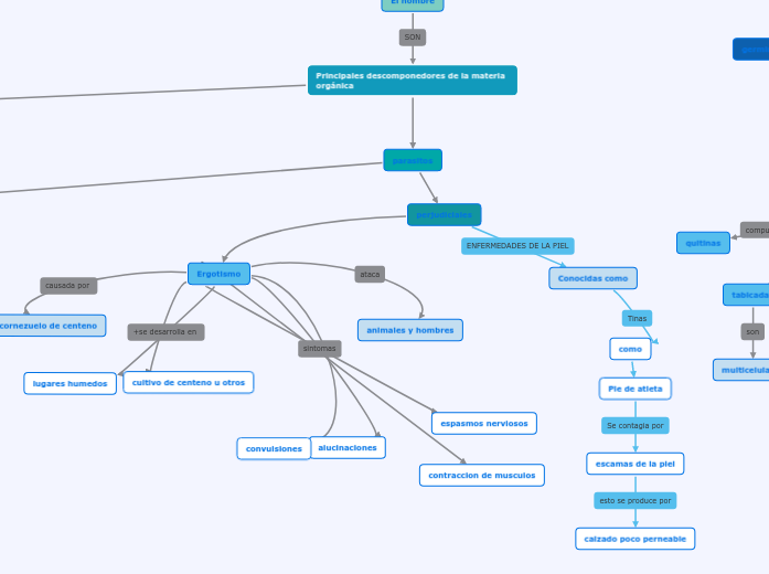 GRUPO 3 - Concept Map